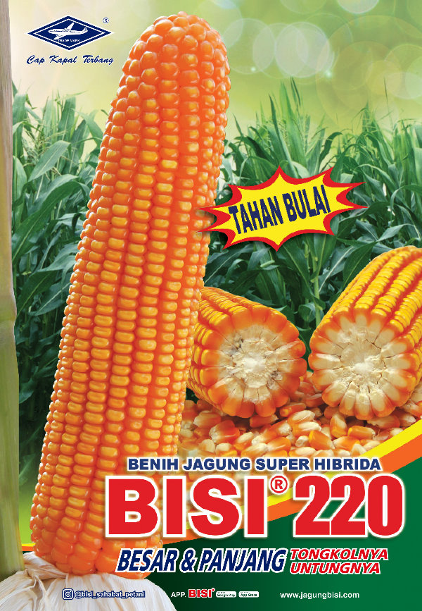 Brosur – jagungBISI.com