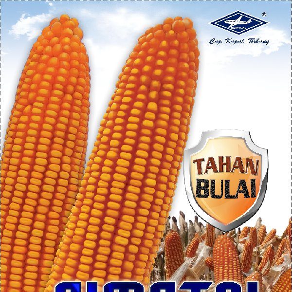 Brosur – jagungBISI.com