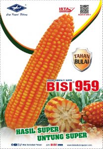 Brosur – jagungBISI.com